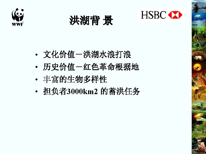 WWF Who What Created in 1960 The world