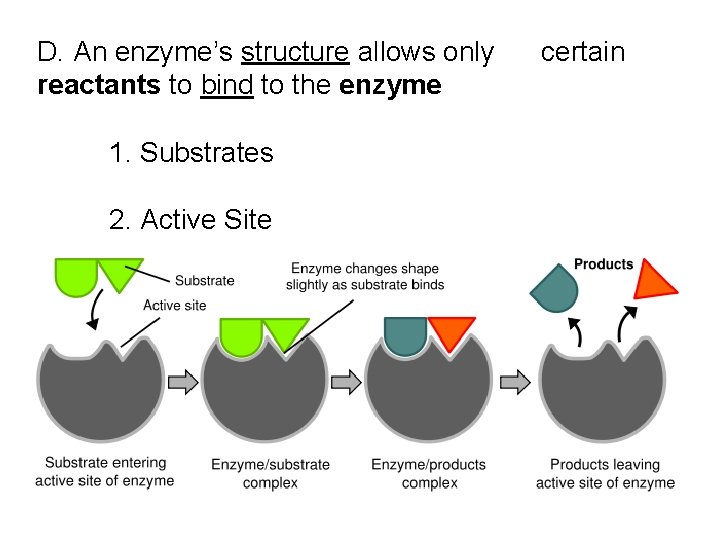 UNIT 1 INTRODUCING BIOLOGY Chapter 2 Chemistry of