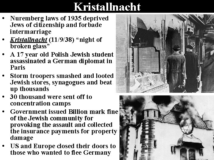 Hitler and Nazi Germany Mc Kay 966 971