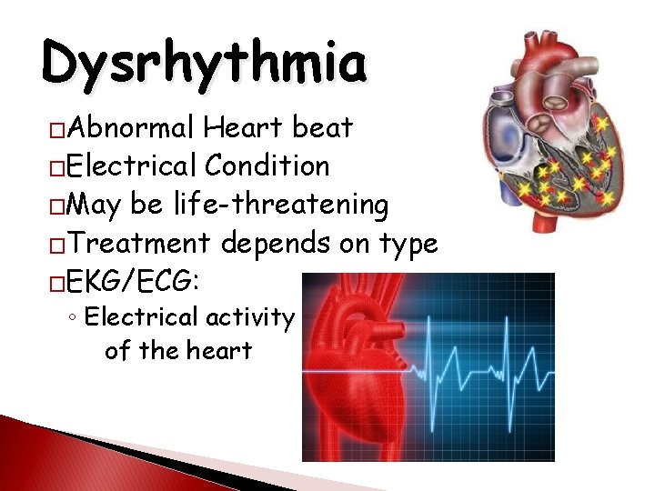Cardiovascular System CNA 2 OSBN Curriculum Overview Anatomy