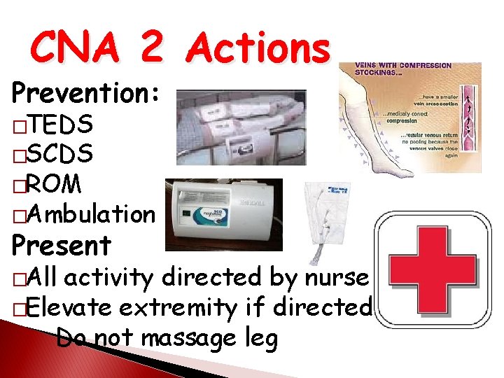 Cardiovascular System CNA 2 OSBN Curriculum Overview Anatomy