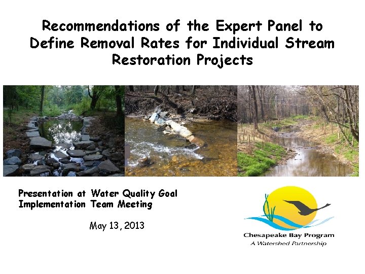 Recommendations of the Expert Panel to Define Removal