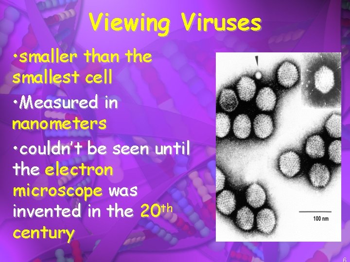 Virus notes http www virology netgarryfa vweb html