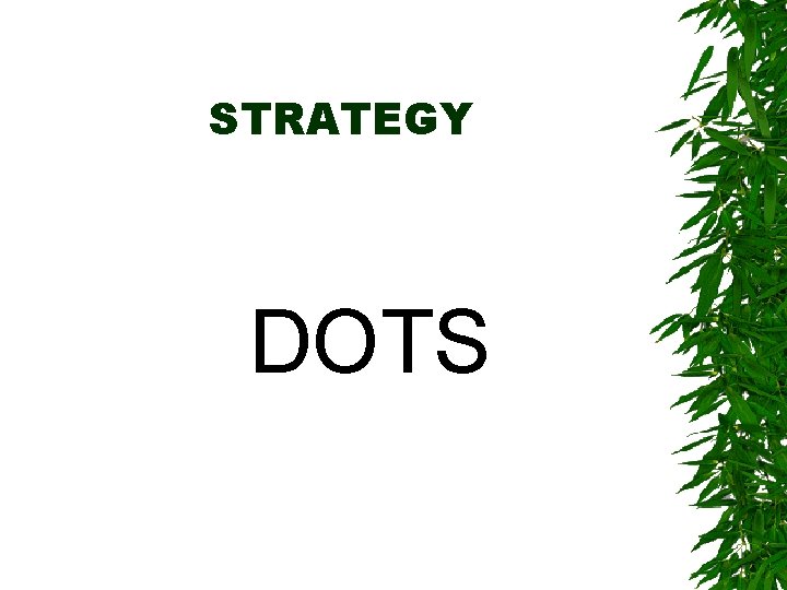 REVISED NATIONAL TUBERCULOSIS CONTROL PROGRAMME Introduction TB is