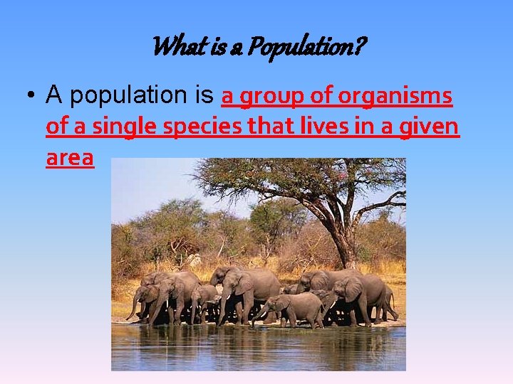Chapter 5 POPULATIONS Lab Biology CP Red Crabs
