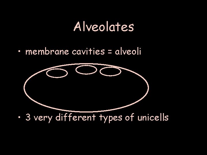 Eukaryotes wmodified mitochondria mitosomes hydrogenosomes surrounded by 2