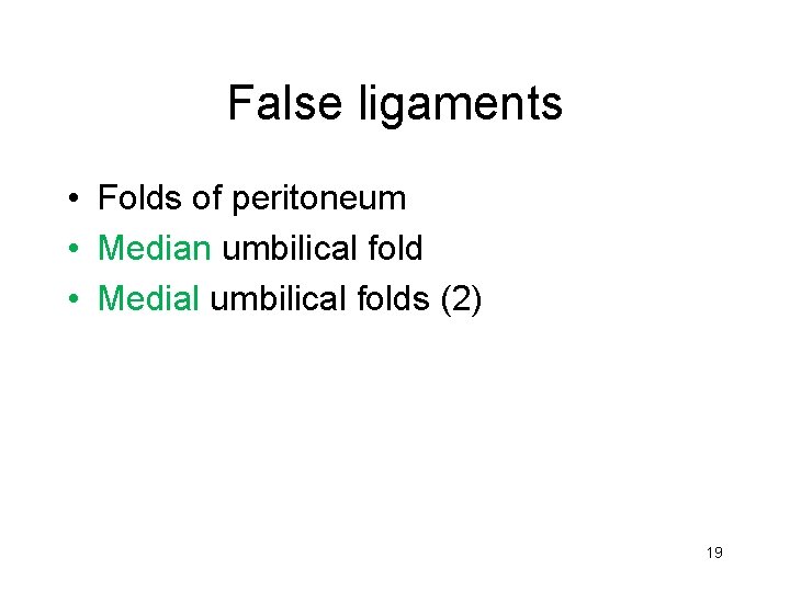 Urinary bladder and Urethra Prof Dr Selda nderolu