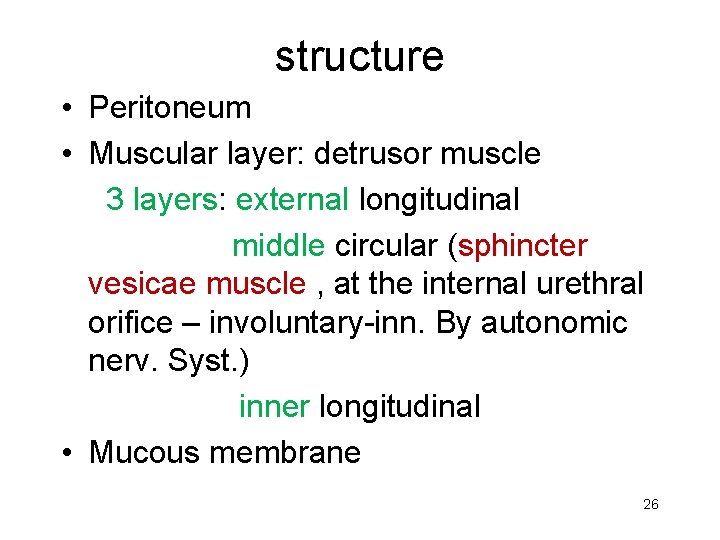 Urinary bladder and Urethra Prof Dr Selda nderolu