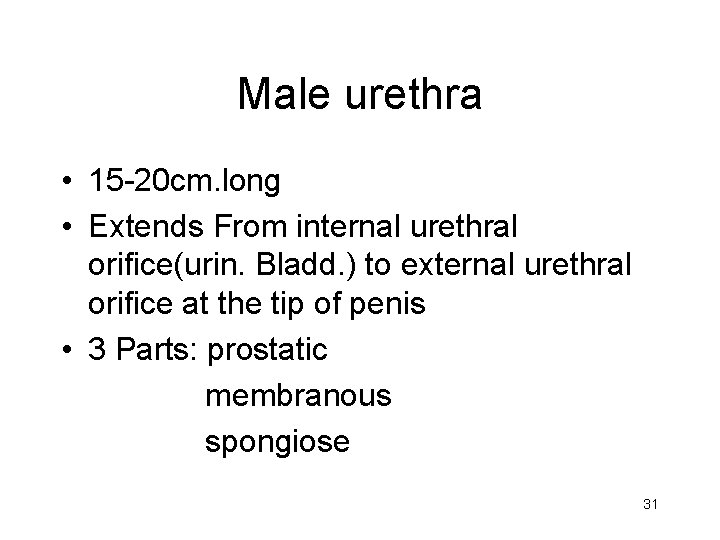 Urinary bladder and Urethra Prof Dr Selda nderolu