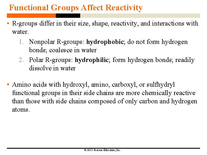 Key Concepts Most cell functions depend on proteins
