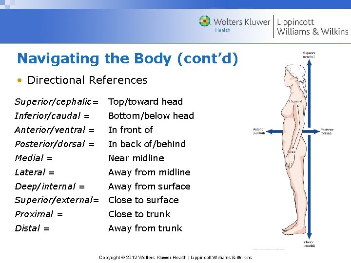 Chapter 1 An Orientation to the Human Body