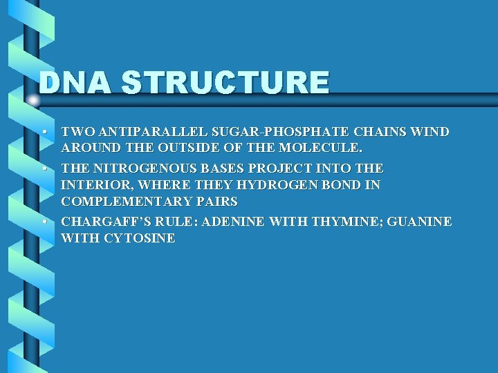 CHAPTER 16 THE MOLECULAR BASIS OF INHERITANCE I