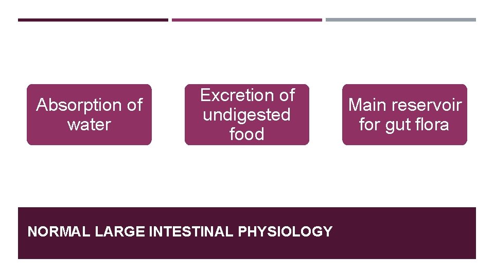 BODY SYSTEMS GASTROENTERITIS CAUSED BY S ENTERITIDIS SIGNS