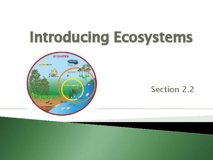 Introducing Ecosystems Section 2 2 First Task Make