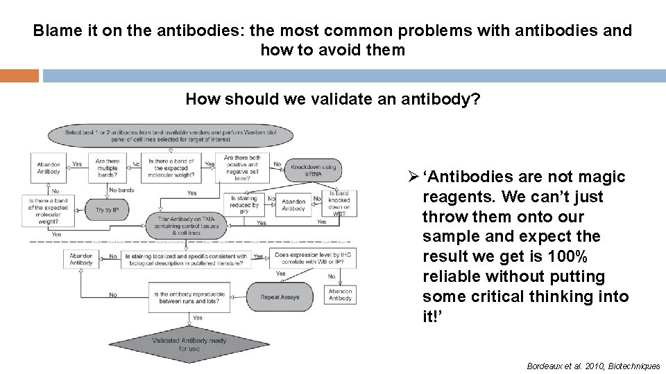 Blame it on the antibodies the most common