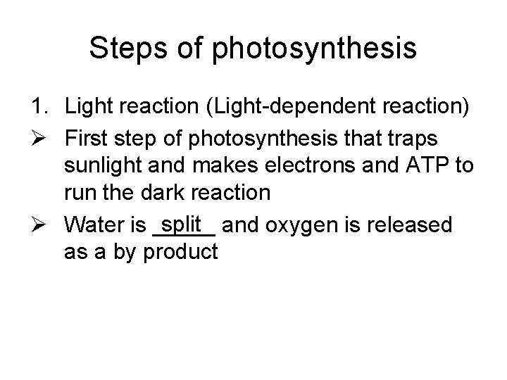 Cellular Energy Photosynthesis Cellular Respiration The Need for