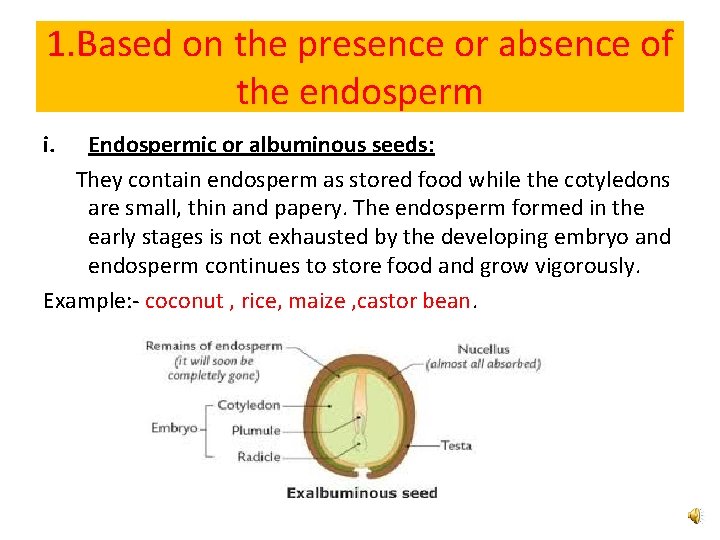 SEXUAL REPRODUCTION IN FLOWERING PLANT BIOLOGY TOPICS Seeds