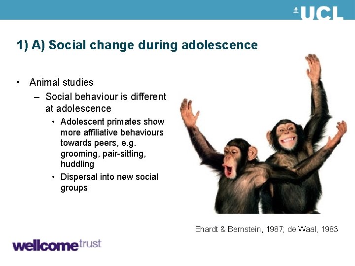 Social cognitive development during adolescence Stephanie Burnett UCL