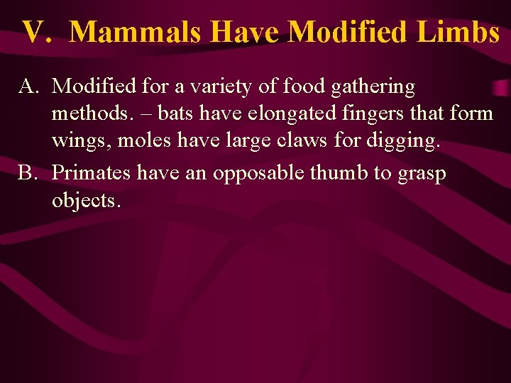 Mammal Characteristics Section 32 1 Biology II I