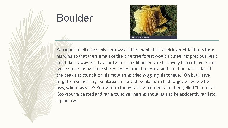 How the Kookaburra got its beak By Chloe