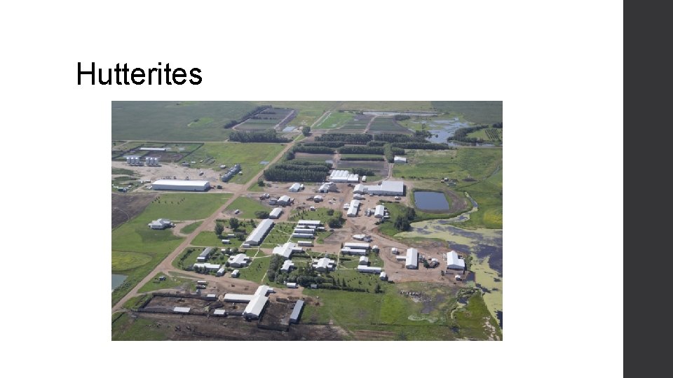 Hutterites and Their Notions of Health By Derek