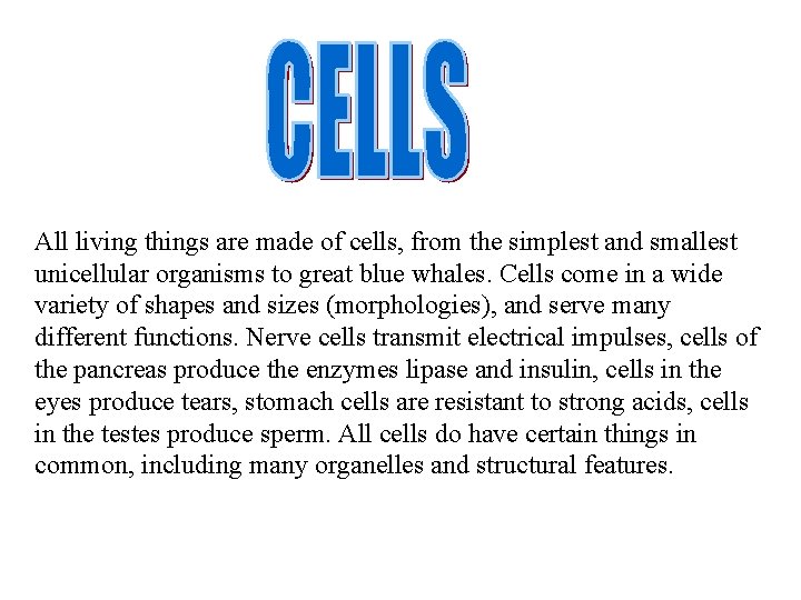 All living things are made of cells from
