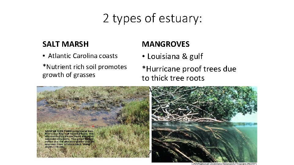 Exploring watersheds continued Concept Check 1 Explain how