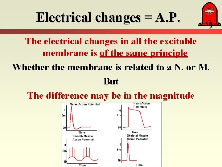 Physiology of Excitable tissue L 2 Stimulation AP