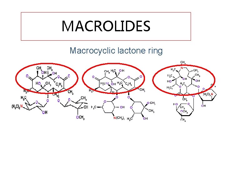 Protein Synthesis Inhibitors Protein Synthesis Inhibitors TETRACYCLINES ...