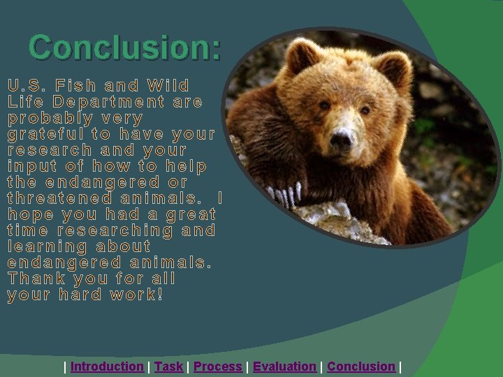 Endangered Animals in the U S Web Quest