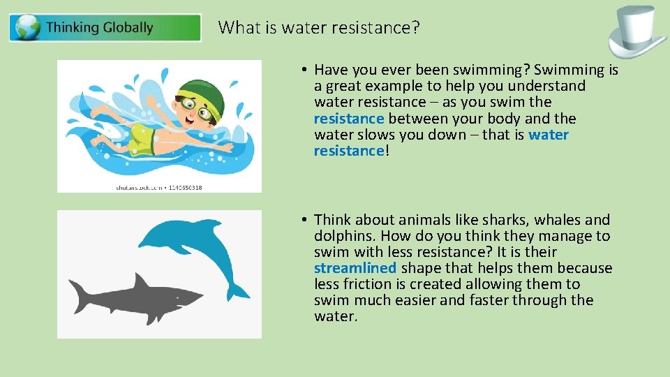 Topic Forces Lesson 4 Water Resistance Success Criteria