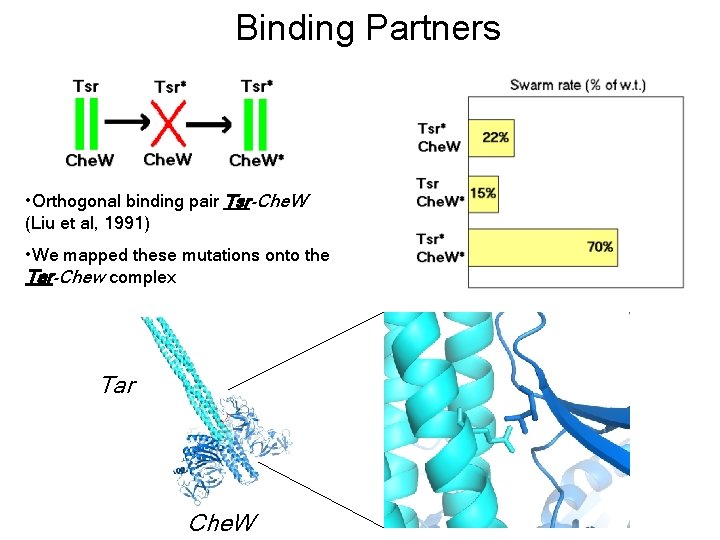 Remote Control of Bacterial Chemotaxis UCSF i GEM