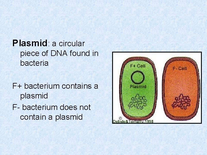 Biotechnology Biotechnology Any process that uses our understanding