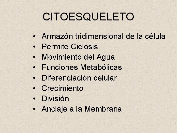 CITOESQUELETO Microtbulos Microfilamentos Filamentos Intermedios Red ...