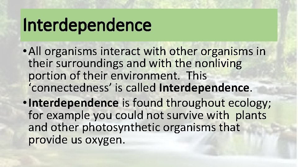 Ecology Biome POGIL INTERACTIVEQuickwrite What is Biodiversity The