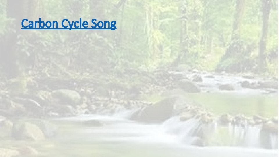Ecology Biome POGIL INTERACTIVEQuickwrite What is Biodiversity The