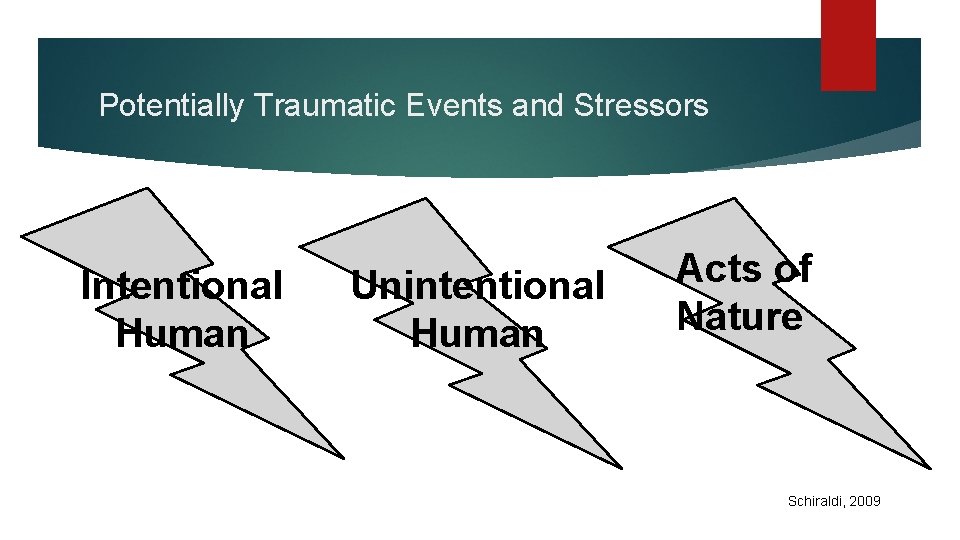 PTSD Basics for Anyone Serving Survivors of Trauma