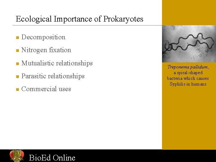 Diversity of Life Introduction to the Organisms By