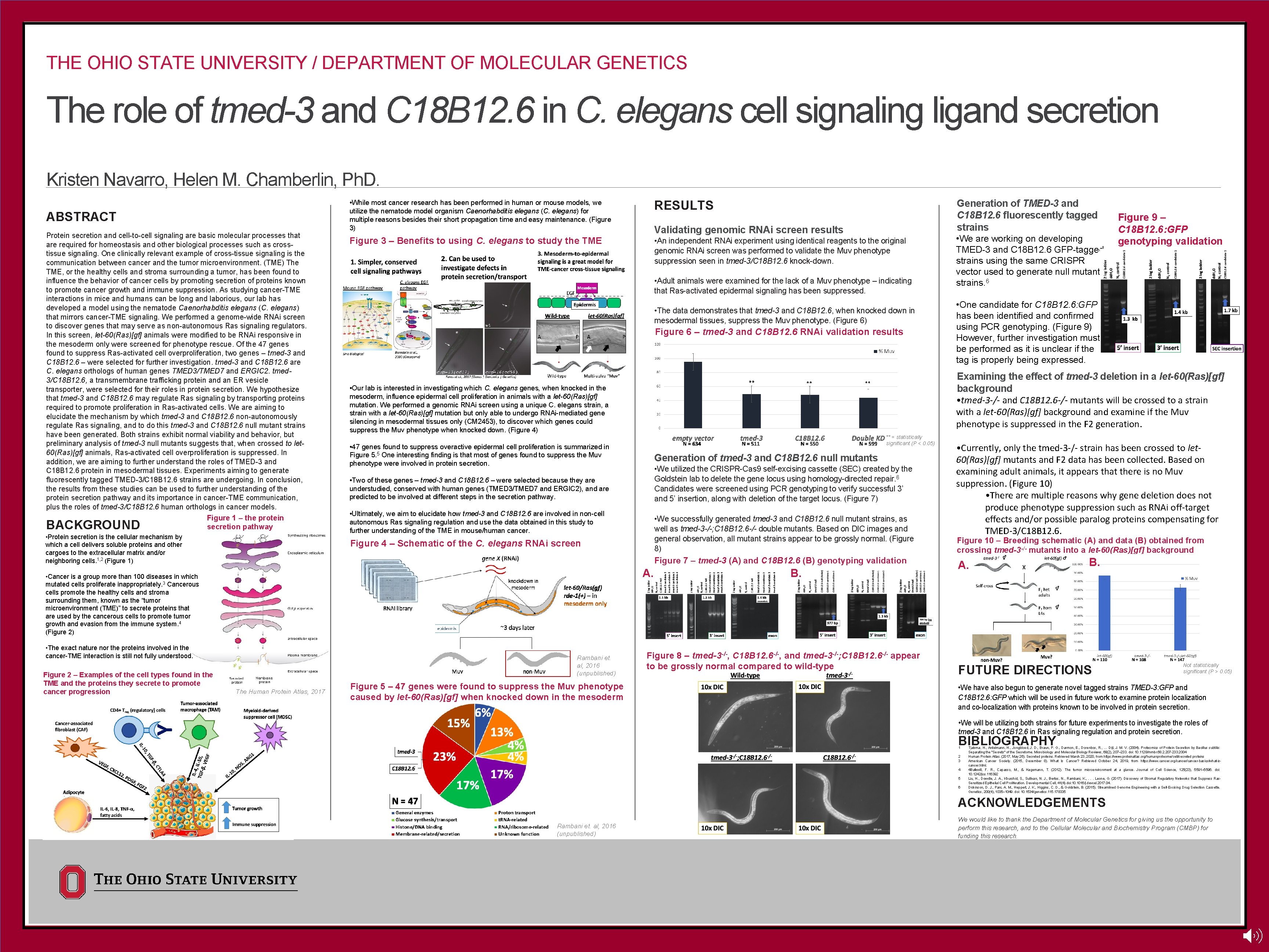 THE OHIO STATE UNIVERSITY DEPARTMENT OF MOLECULAR GENETICS