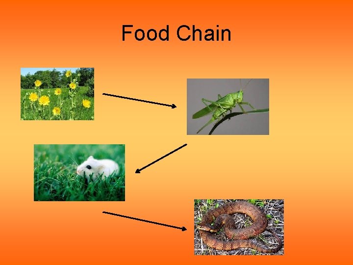 Principles of Ecology Chapter 2 Principles of Ecology