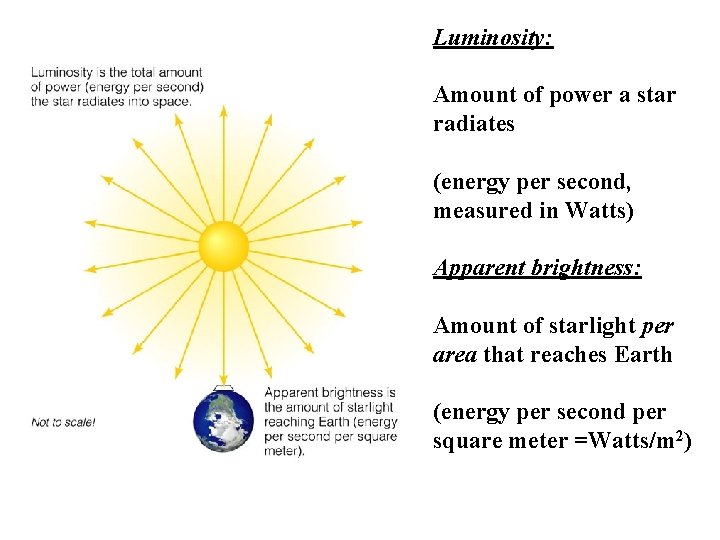 Chapter 11 Surveying the Stars How luminous are