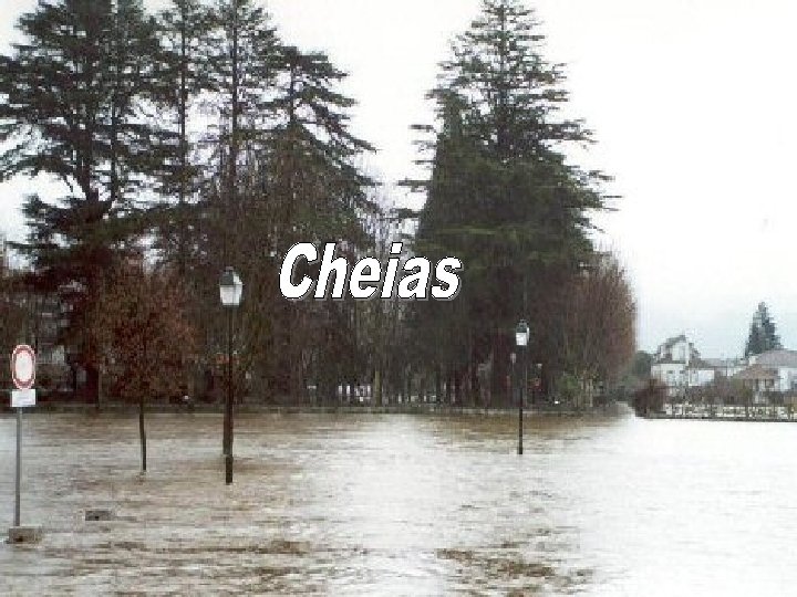 Cheias As cheias so fenmenos naturais extremos e