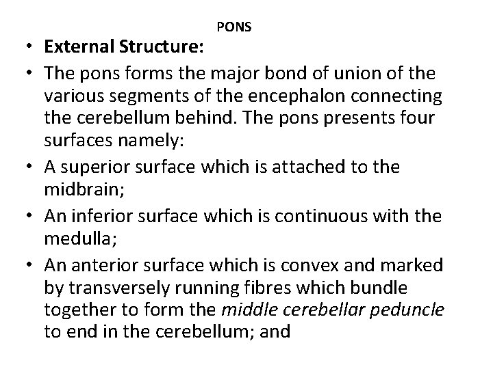 THE BRAINSTEM The brainstem comprises of mass of