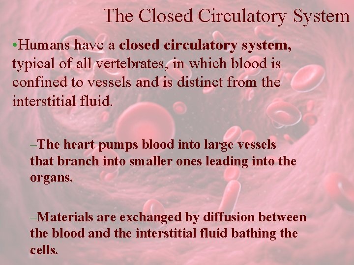 An Introduction to the Circulatory System Objective Explain