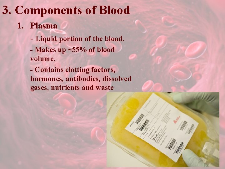 An Introduction to the Circulatory System Objective Explain