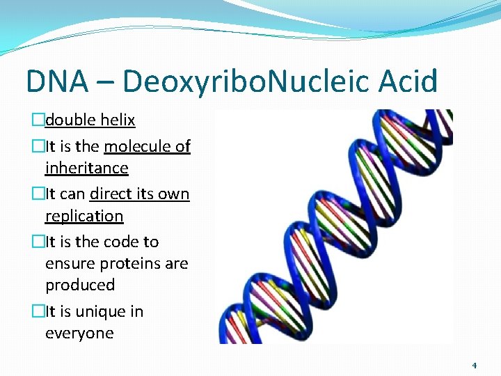 Higher Human Biology Human Cells 2 Structure and