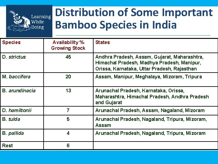 Bamboo Vigyan Ashram Pabal What is bamboo Bamboos