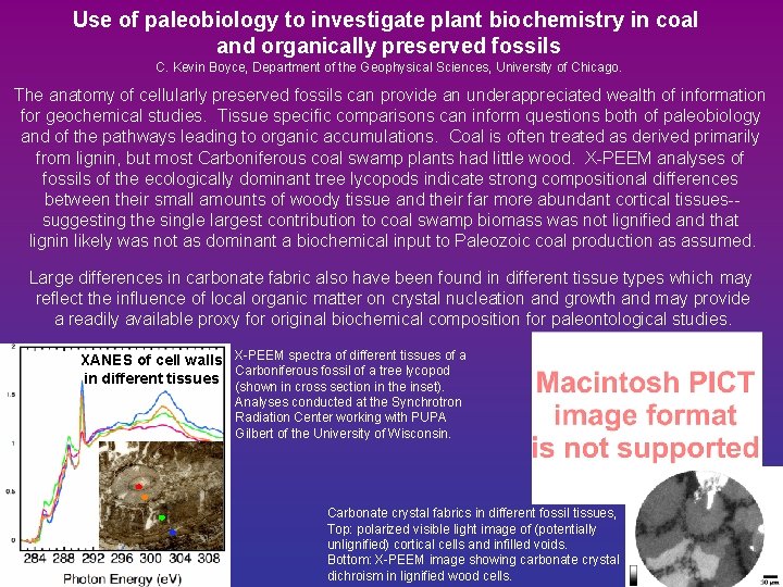 Use of paleobiology to investigate plant biochemistry in
