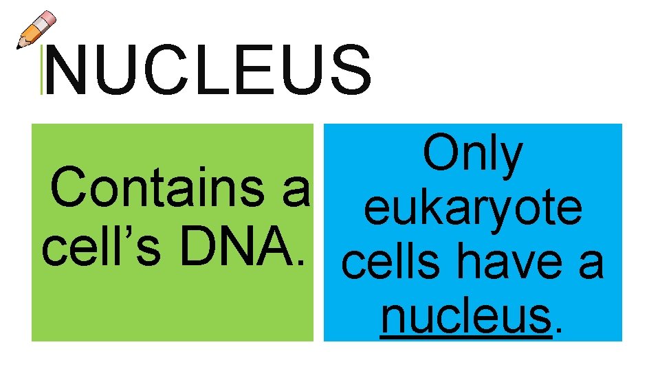 UNIT 1 SECTION 2 VOCABULARY Vocabular y YOU