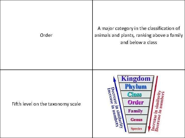 Prokaryote Includes bacteria and archaea They are found
